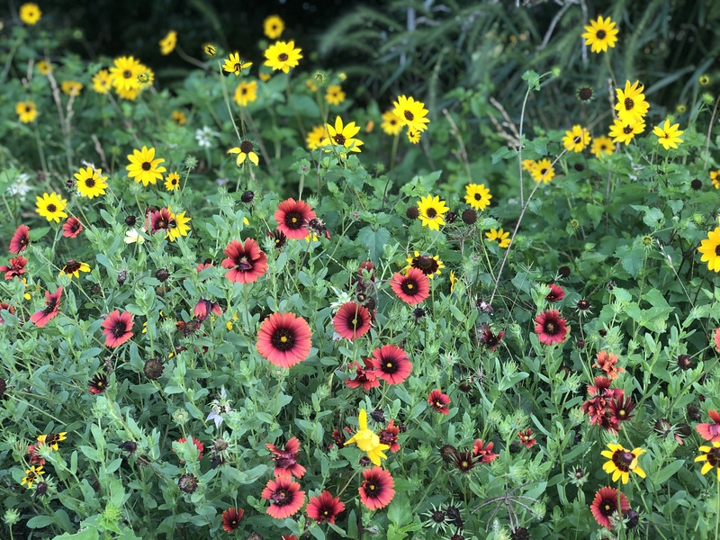 Independence Ranch | Scheduling and Booking Website